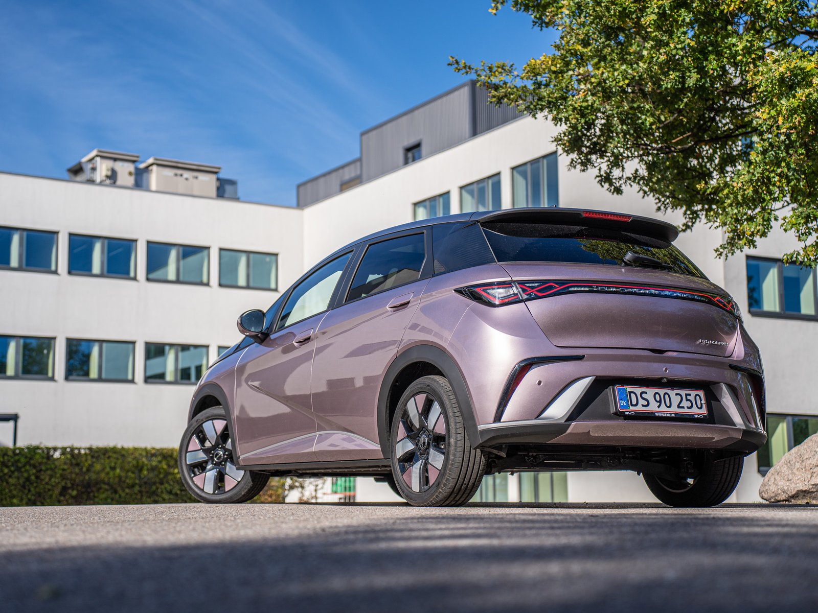 Test af den billige elbil BYD Dolphin, der er med i Årets Bil