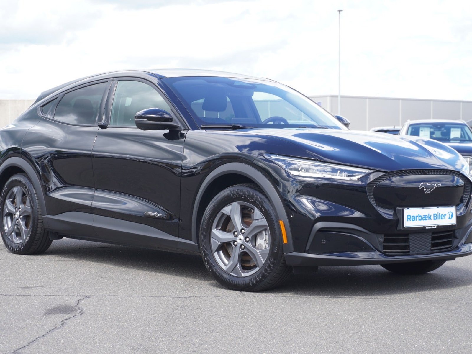 Brugt Ford Mustang Mach-E 88 Premium Extended Range til salg