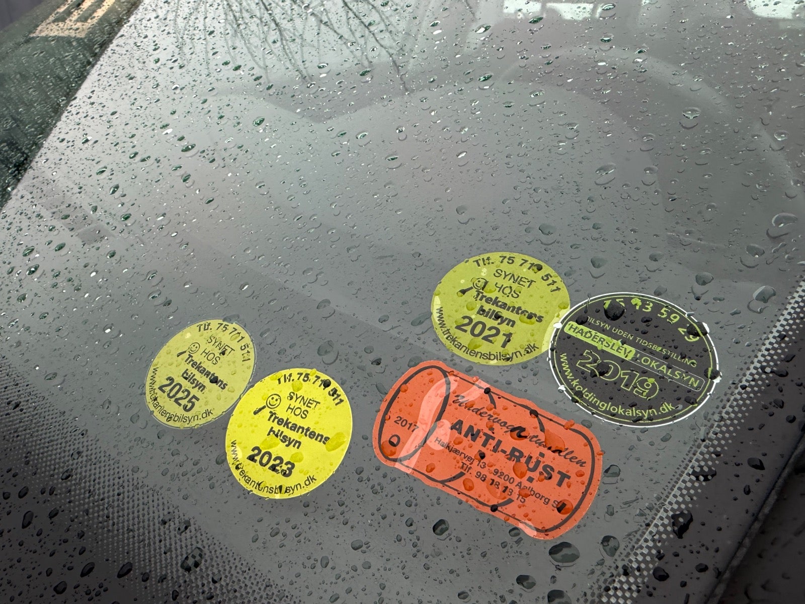 Brugt VW Polo 1,0 TSi 95 BlueMotion til salg