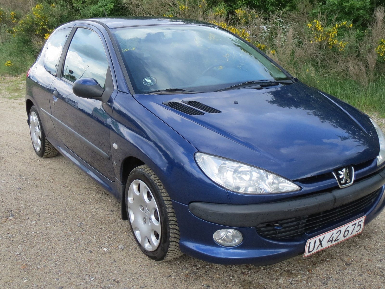 Brugt Peugeot 206 2,0 HDi 90HK 3d til salg